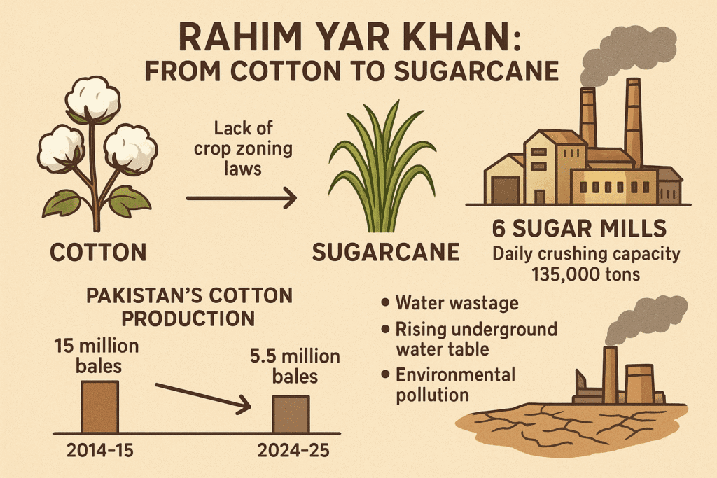 Crisis in Cotton: How Sugarcane Expansion Is Reshaping Pakistan’s ...